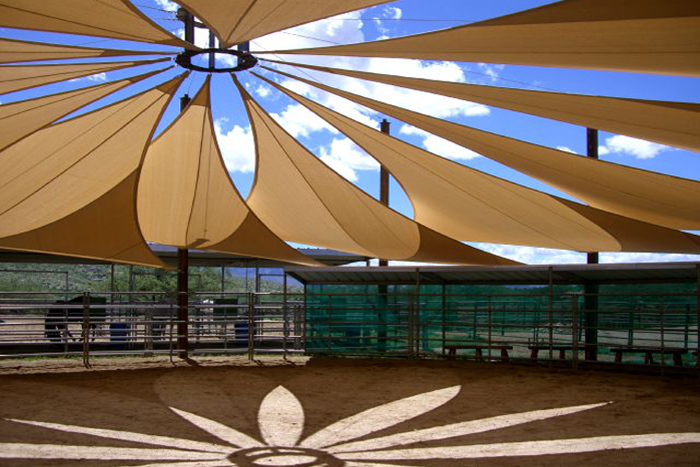Retractable Awnings and Shade Structures: Expand Your Outdoor Living Space.